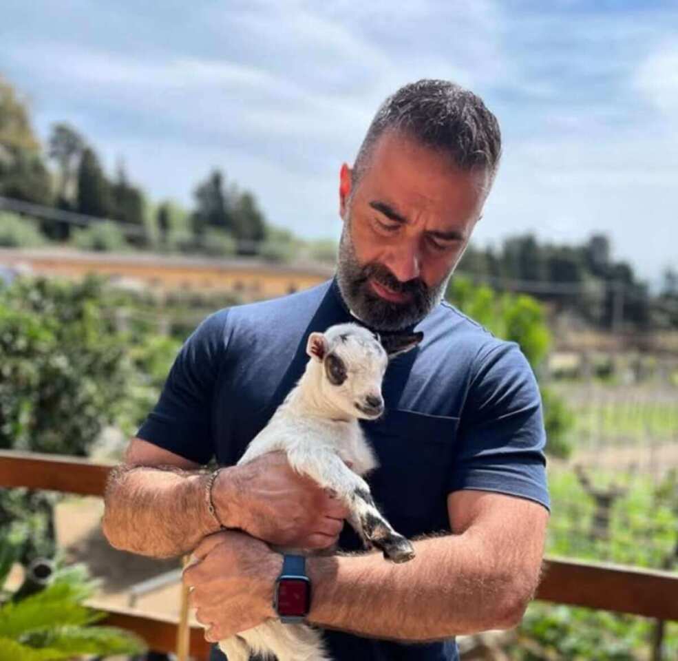 L'appello di don Cosimo Schena: «L’agnello non è da cucinare»